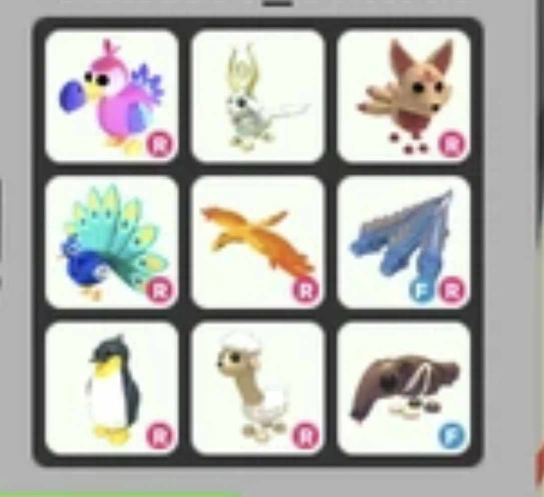 trading all these for 1 pet | Fandom