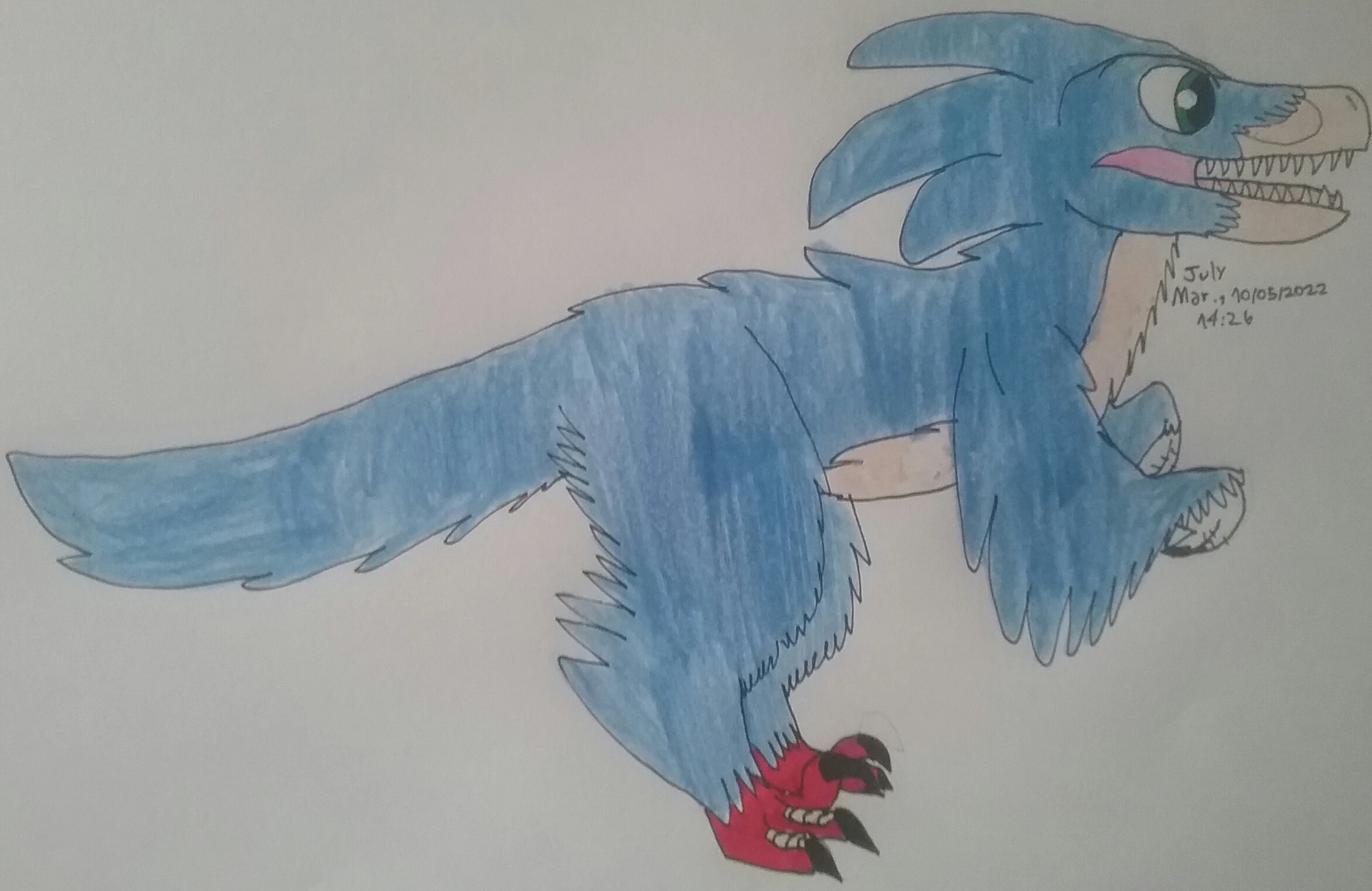 Sonicraptor. | Fandom
