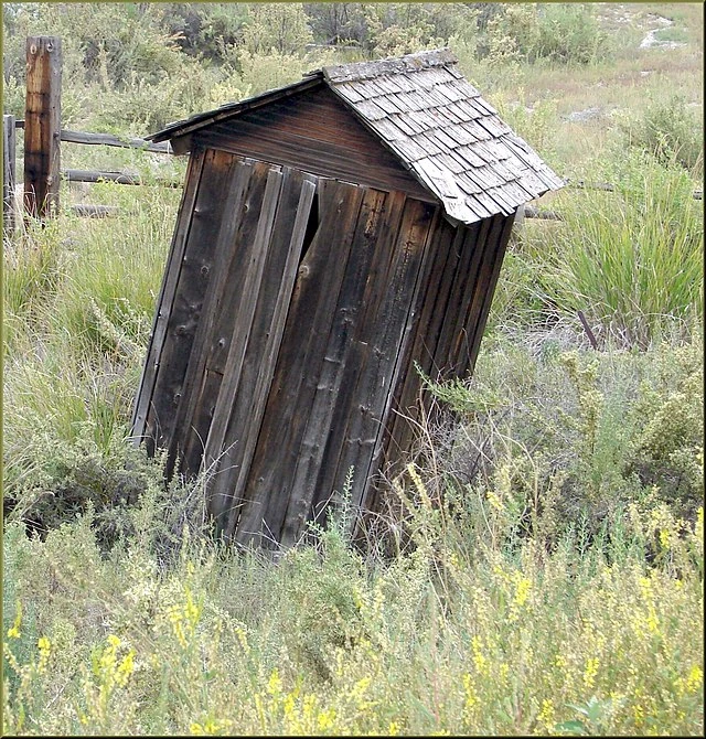 Thoughts on this SCP I wrote? | Fandom