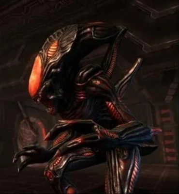 Discuss Everything About Xenopedia | Fandom