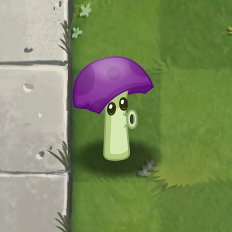 Scaredy-shroom PvZ2 Remake | Fandom