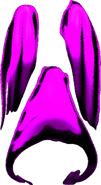 XXU-1 + XXU-10! | Fandom