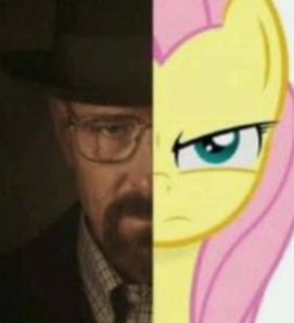 Does anyone | Fandom