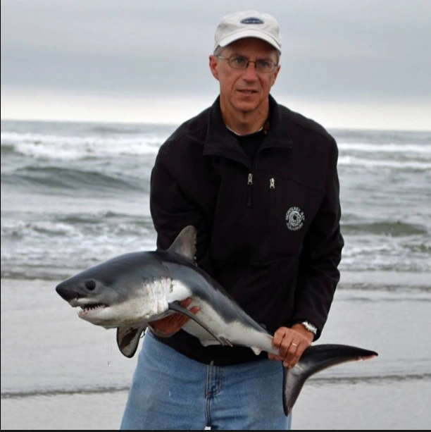 Yes Salmon Sharks exist, do I want a tiny shark in COS? y e s | Fandom