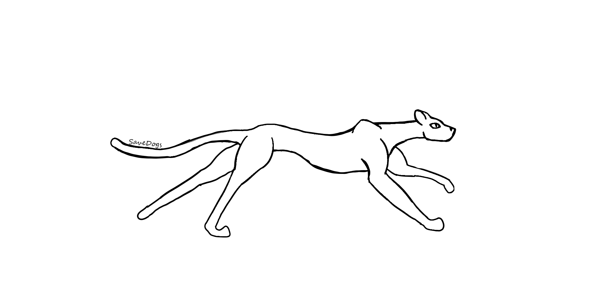 Cheetah Base. | Fandom