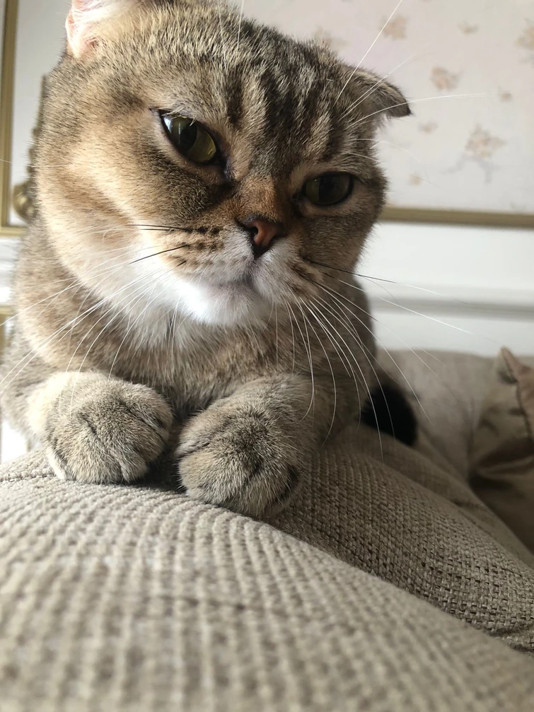 vanity jason eating plates | Fandom