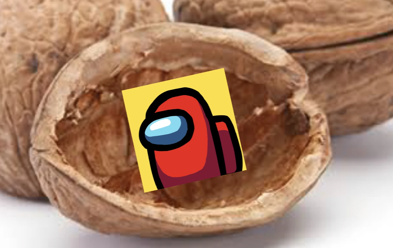 Among Us In A Nutshell | Fandom