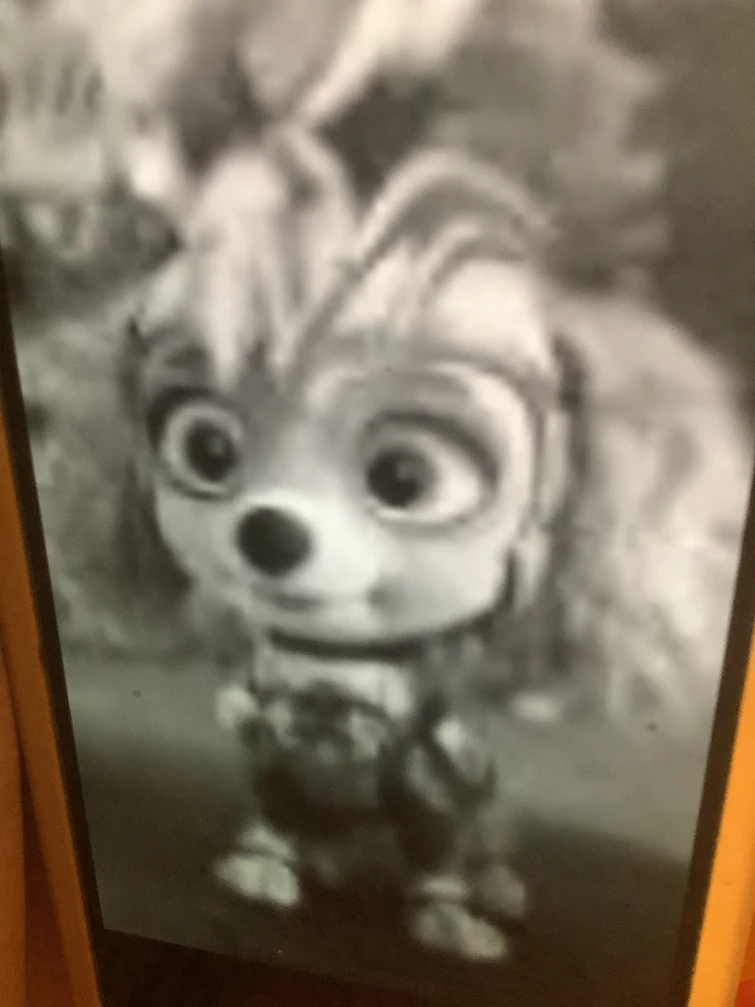 Mighty Skye in black and white style | Fandom