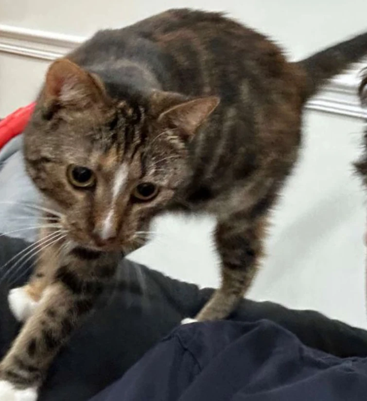 OMG YALL DOUBKE POST BUT ITS ALSO PATCHES DAY | Fandom