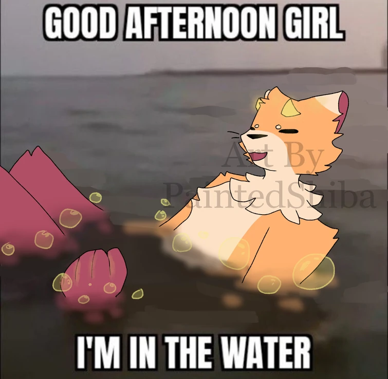 i have a idea for feizao and fashui | Fandom