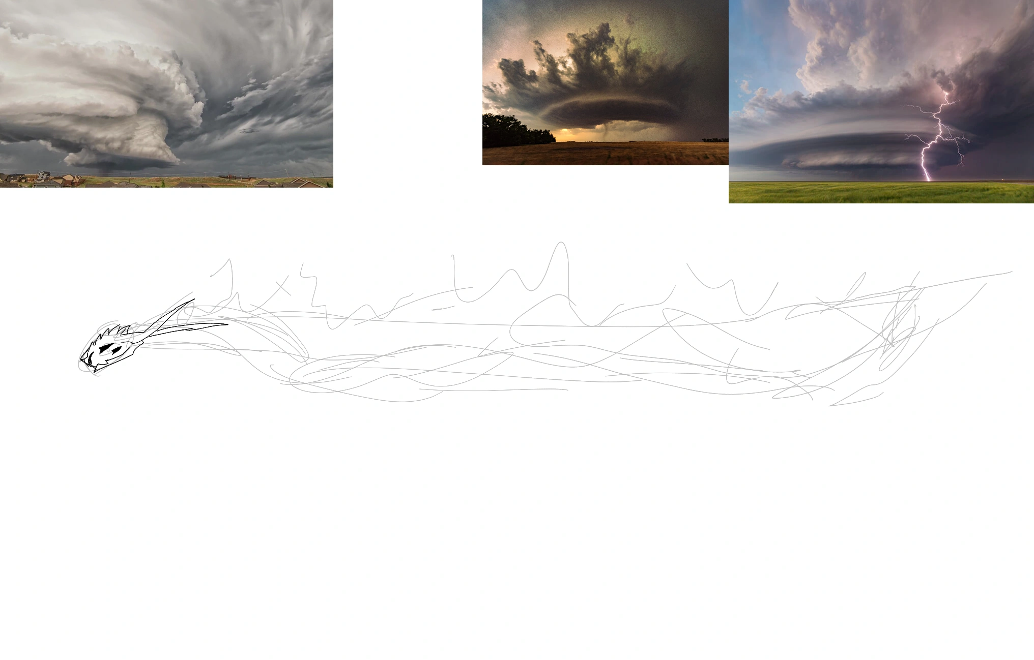 Supercell dragon wip | Fandom