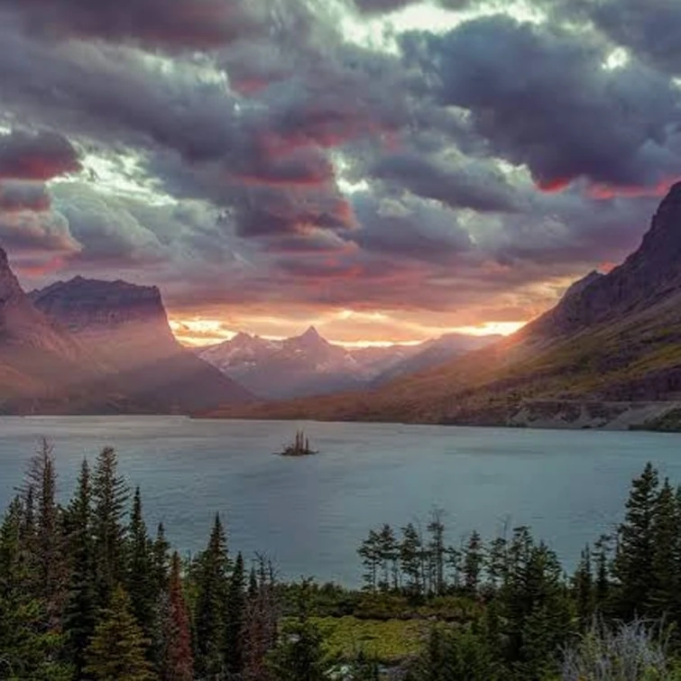 suggest bots for my future solo projects V2 | Fandom