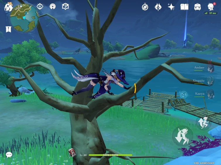 Lisa’s climbing evolution | Fandom