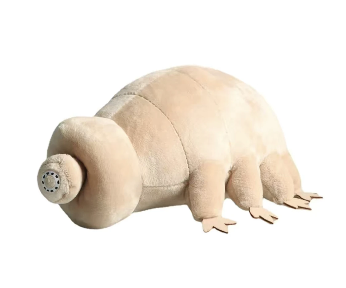 water bear | Fandom