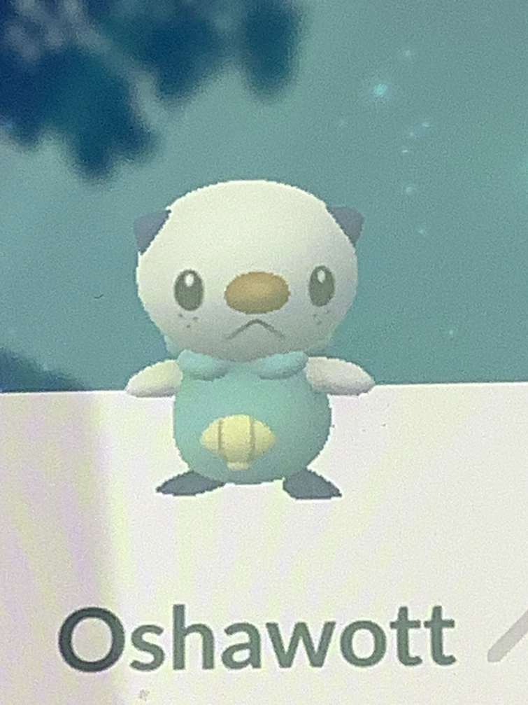 Oshawott’s front view in Pokémon go! | Fandom