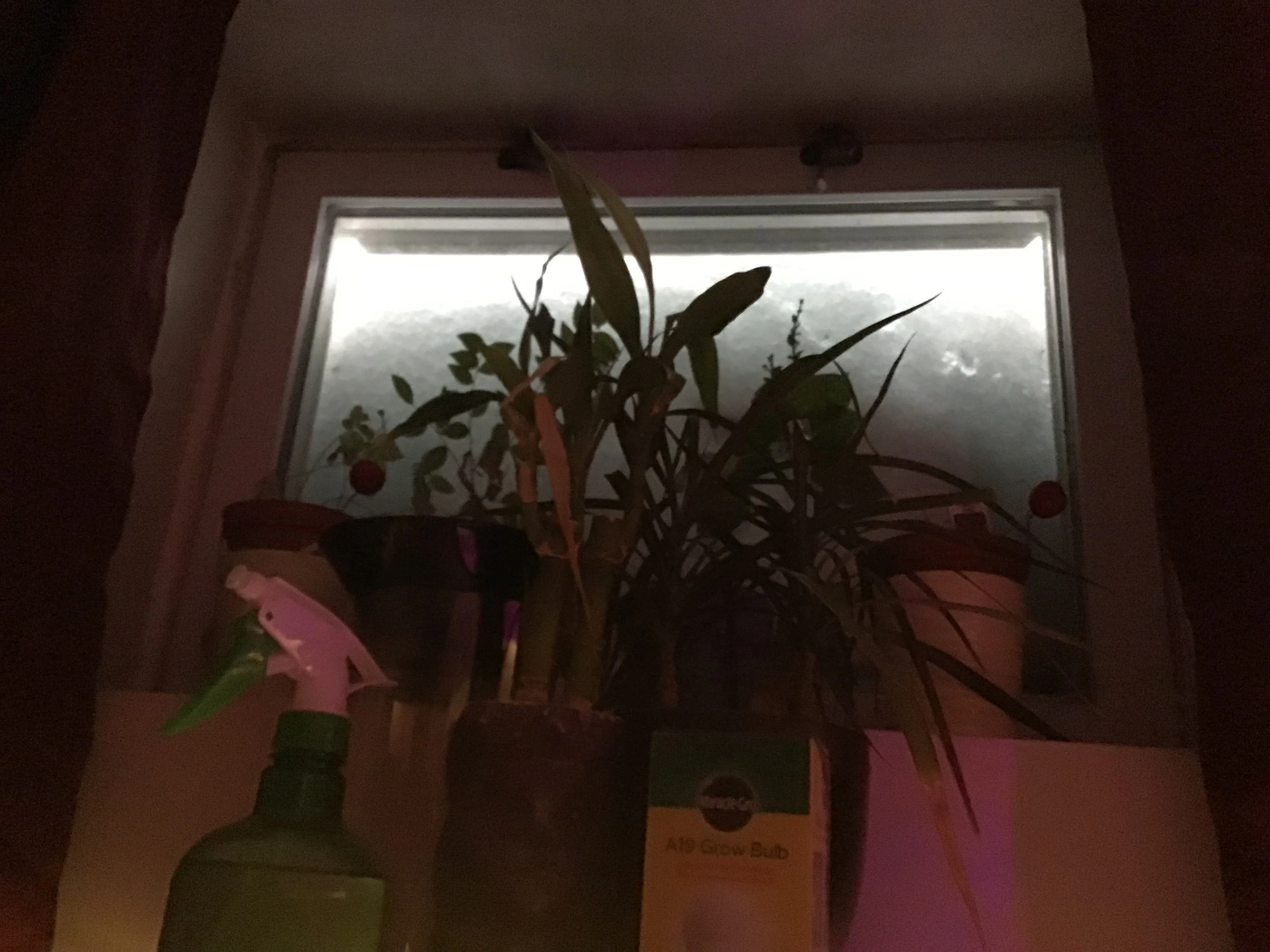 my window is now blocked (i live in a basement) | Fandom