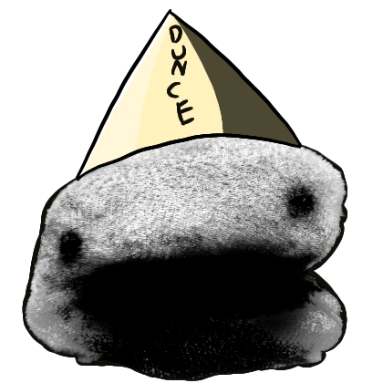 dunce | Fandom