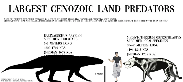 Megistotherium osteothlastes skeletal reconstruction by Dan Folkes | Fandom
