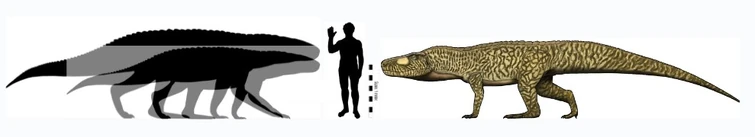 Who Would Win | Fandom