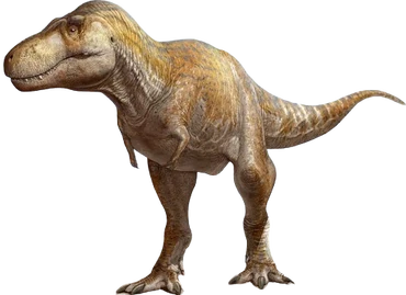 Tyrannosaurus VS Tyrannosaurus | Fandom