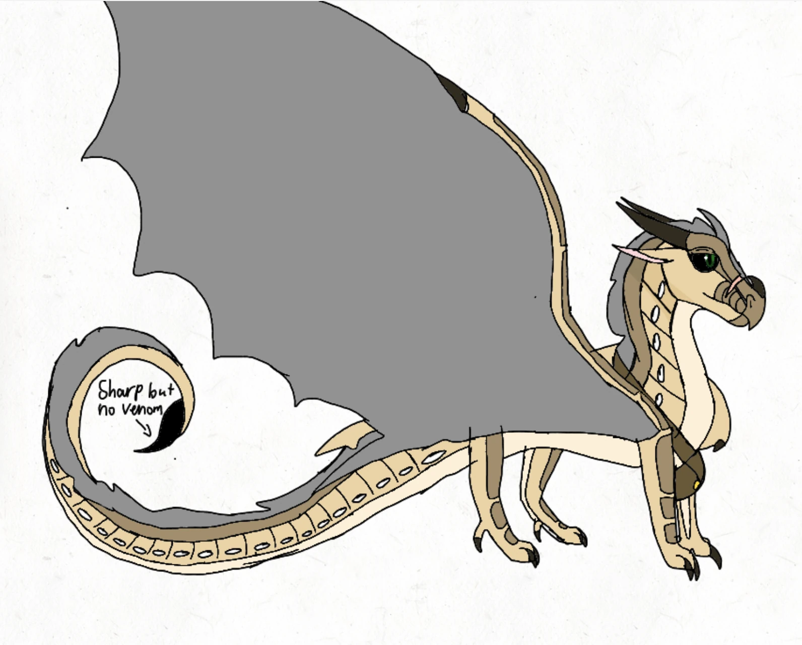 Anyone have a name idea for this girl? She’s a Sandwing- nightwing ...