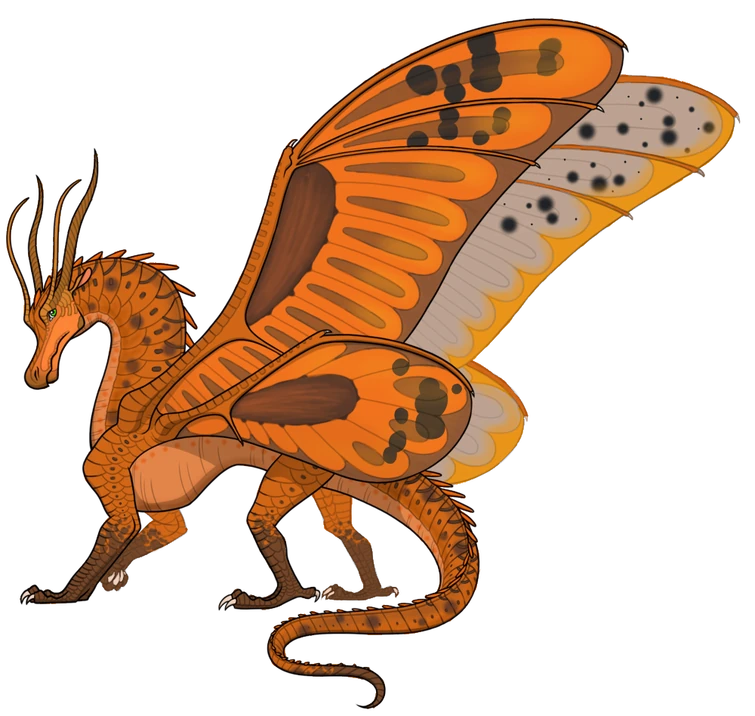 fcfs (repost :|) | Fandom