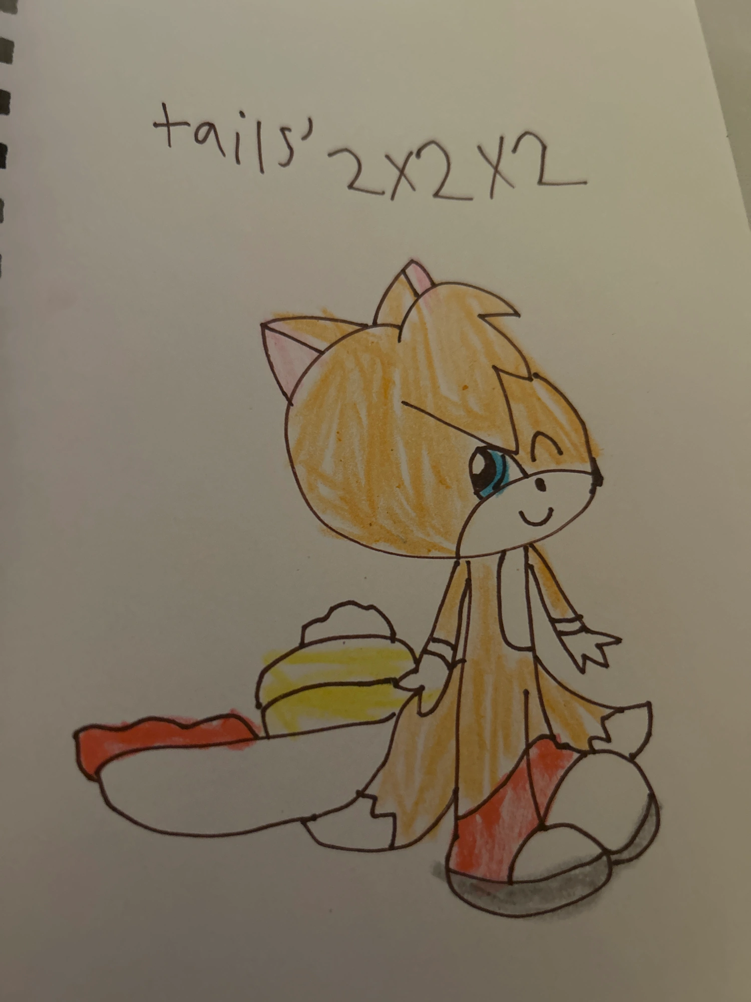 Tails and his tails’ 2x2x2 | Fandom