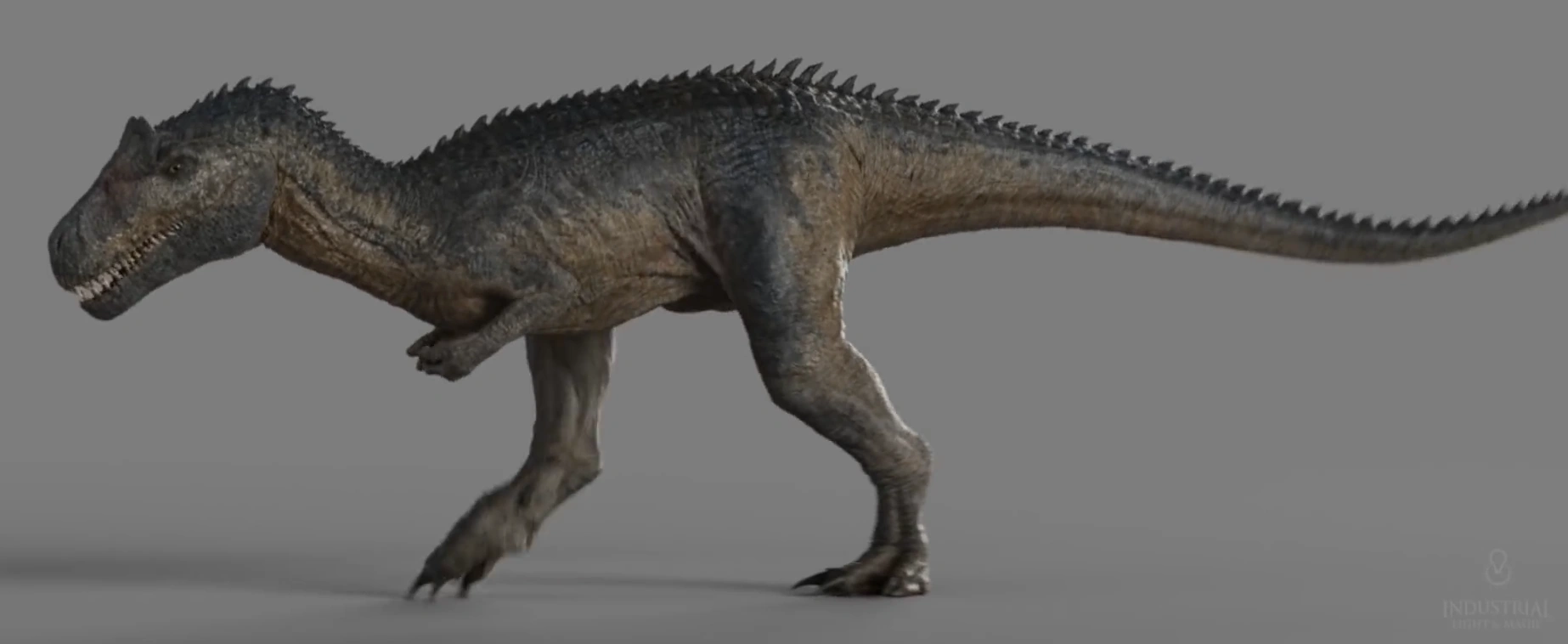 Adult allo design | Fandom