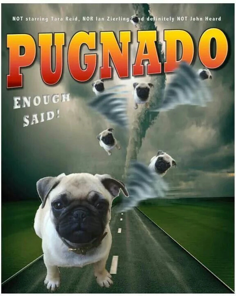 LAK HATES KNOWLEDGE AND ASTRONOMY AND IS AGAINST US | Fandom