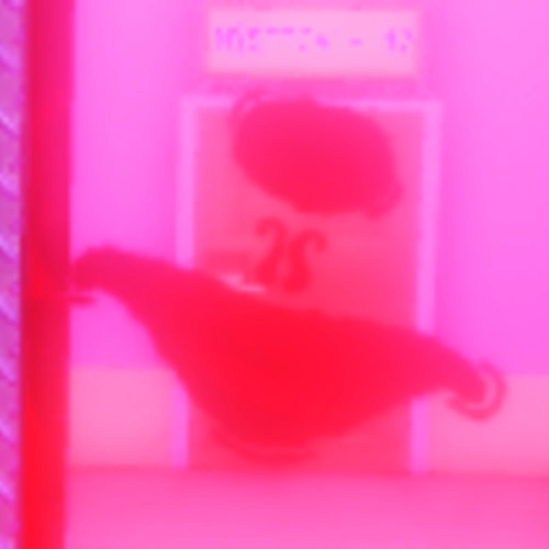 Whos that red dude | Fandom