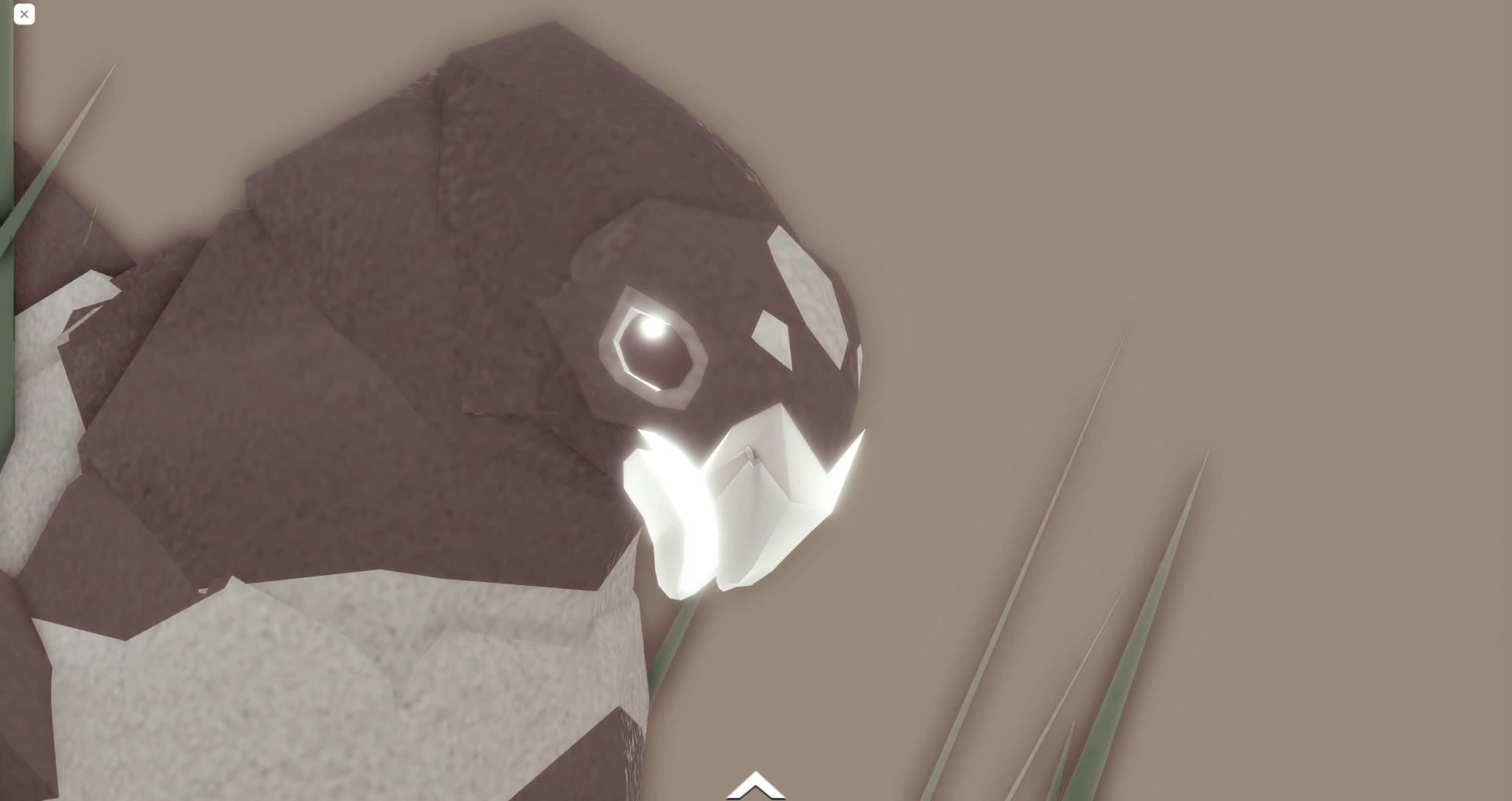 Funky lil Fyluf 🥰🥰🥰 | Fandom