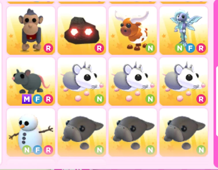 Looking for nfr pets | Fandom