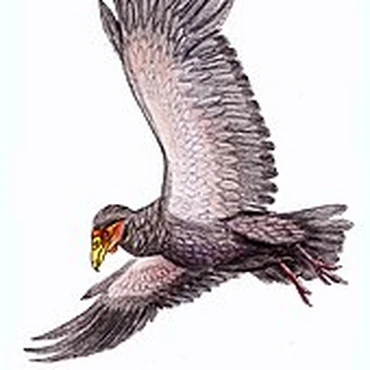 Discuss Everything About Dinopedia | Fandom