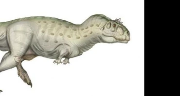 Who do you favour over the other? - Ceratosauria Tournament ...