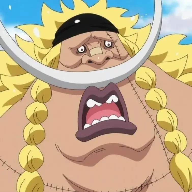 Les clones de l'équipage Rocks | Fandom