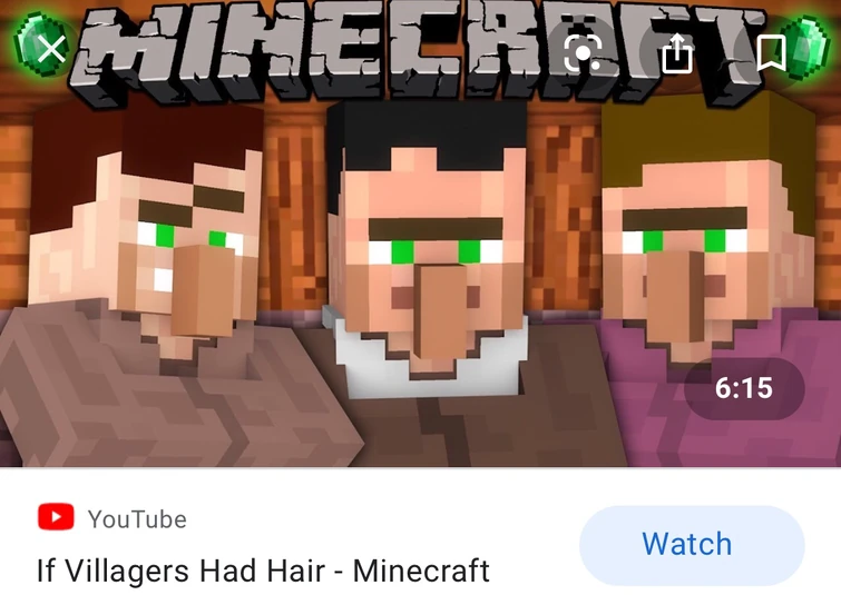 In the village update they didn't give the villagers hair | Fandom
