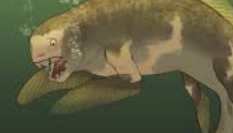 CHECK OUT MY CURSED PLACODERM IMAGES :'D | Fandom