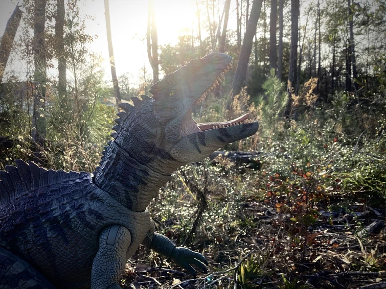 Got the Hammond Collection Giga today, wanted to share some photos ...