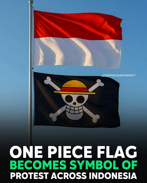 Guys i just found out the straw hat flag is used as a protest symbol in ...