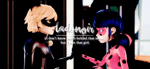 Ladynoir ️ | Fandom