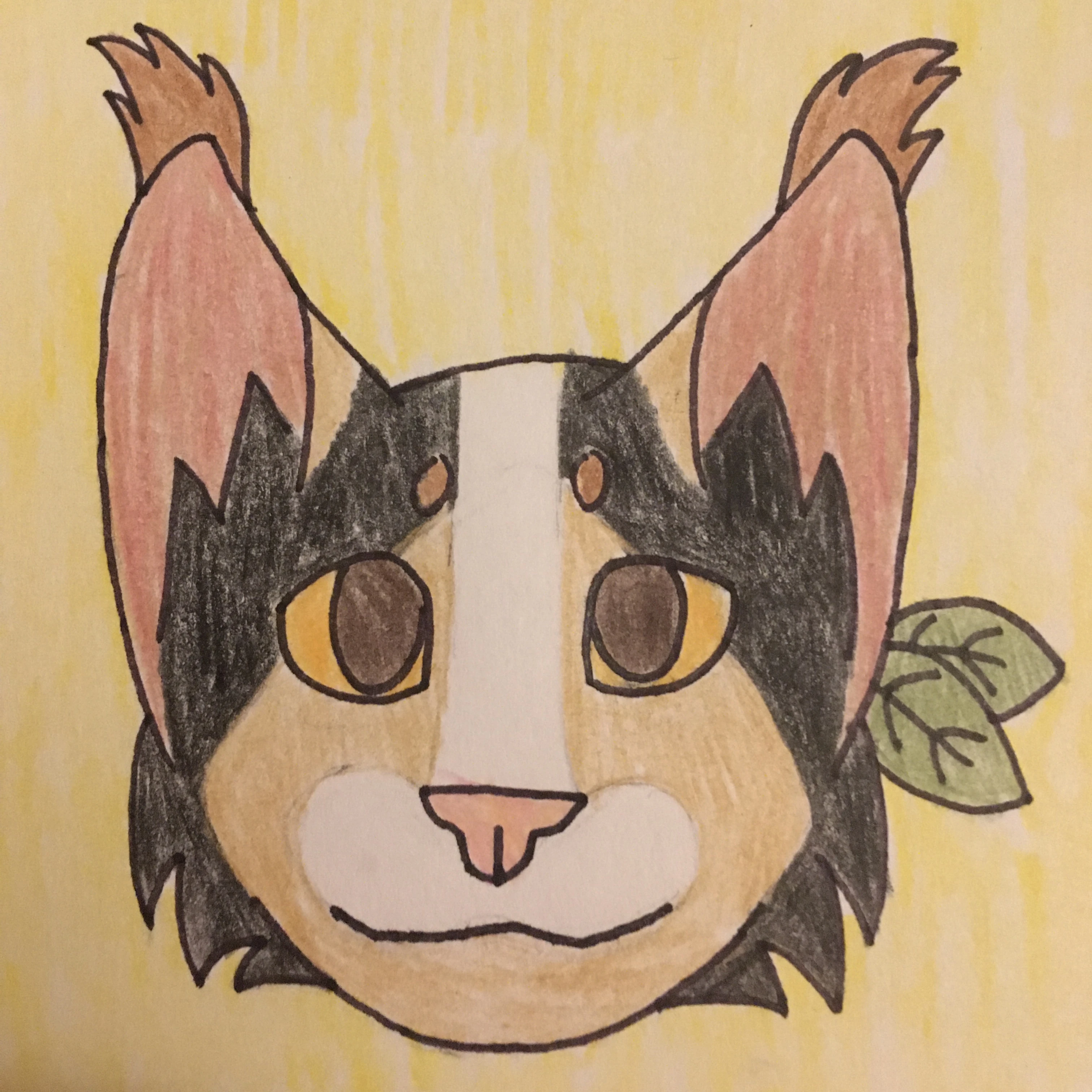 Drawing of my morph! | Fandom