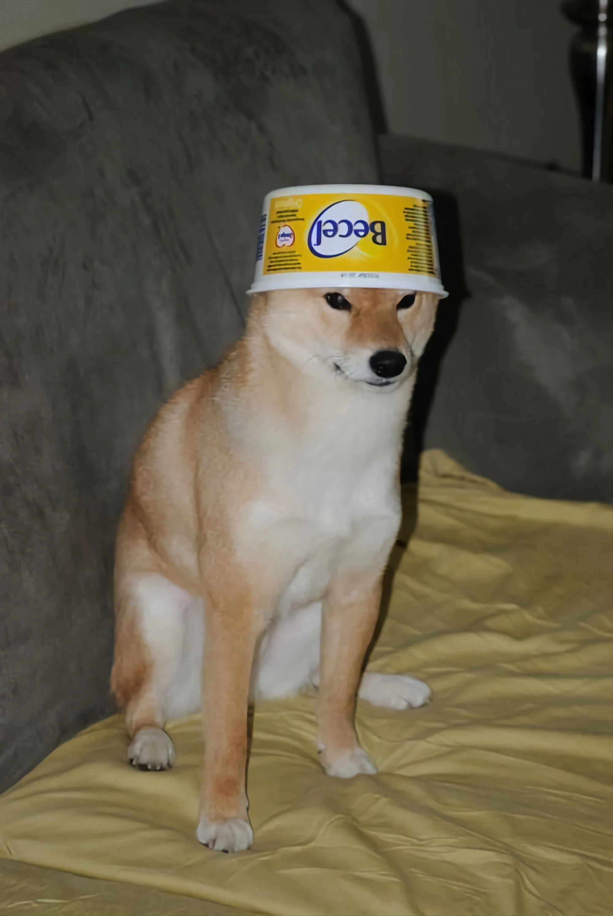 Got a question | Fandom