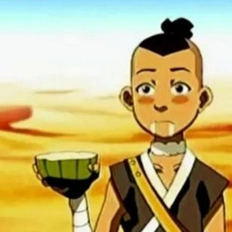 Omg ATLA reference lmao | Fandom