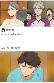Setters Meme | Fandom