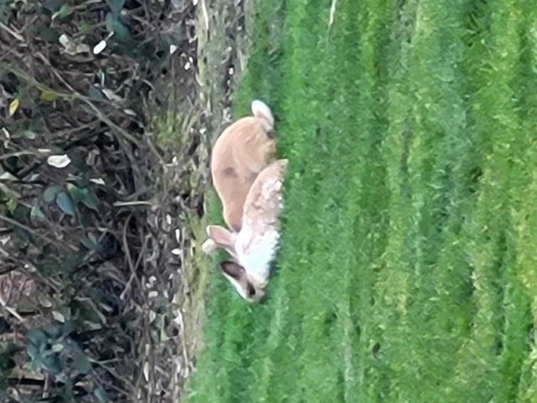 eyebleach needed /nf | Fandom