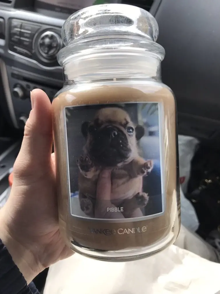 Happy Tree Friends Door Roblox! | Fandom