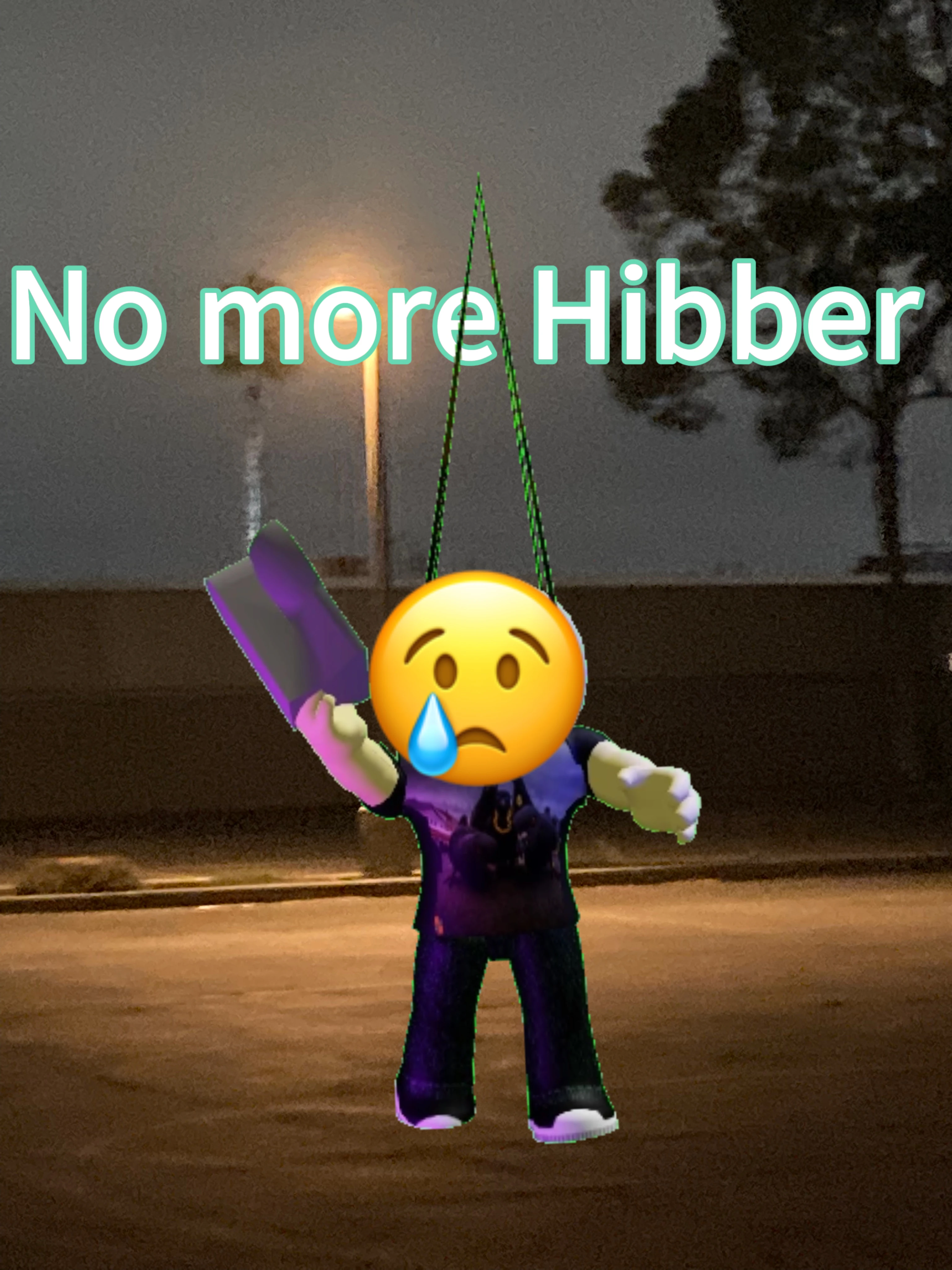 (JOKE) Itook Hibber to the backyard and shot him. | Fandom