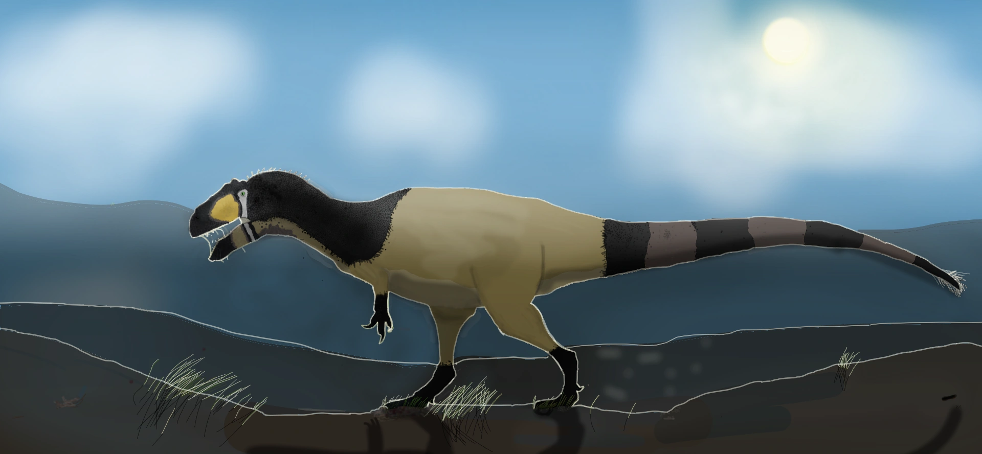 Almost done allo | Fandom