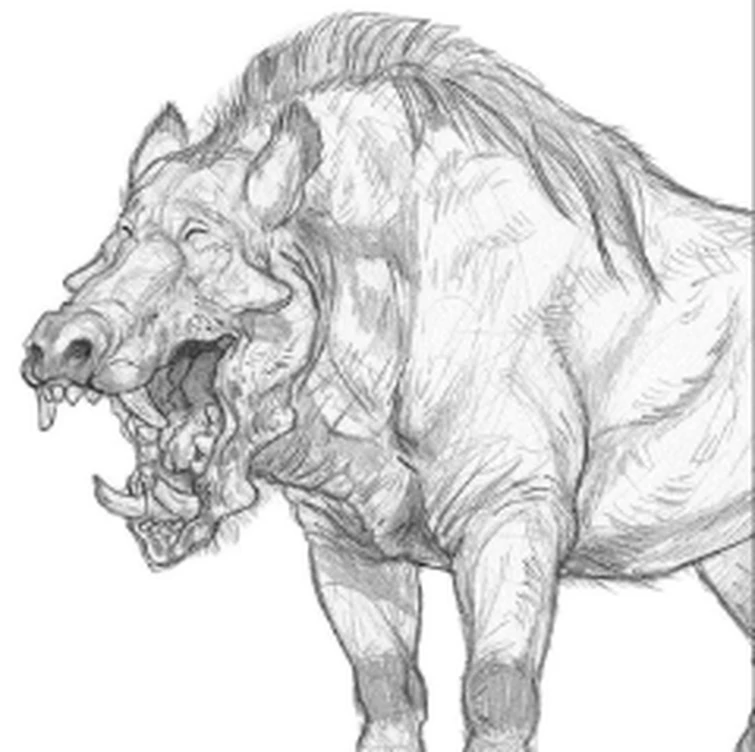 Daeodon drawing | Fandom