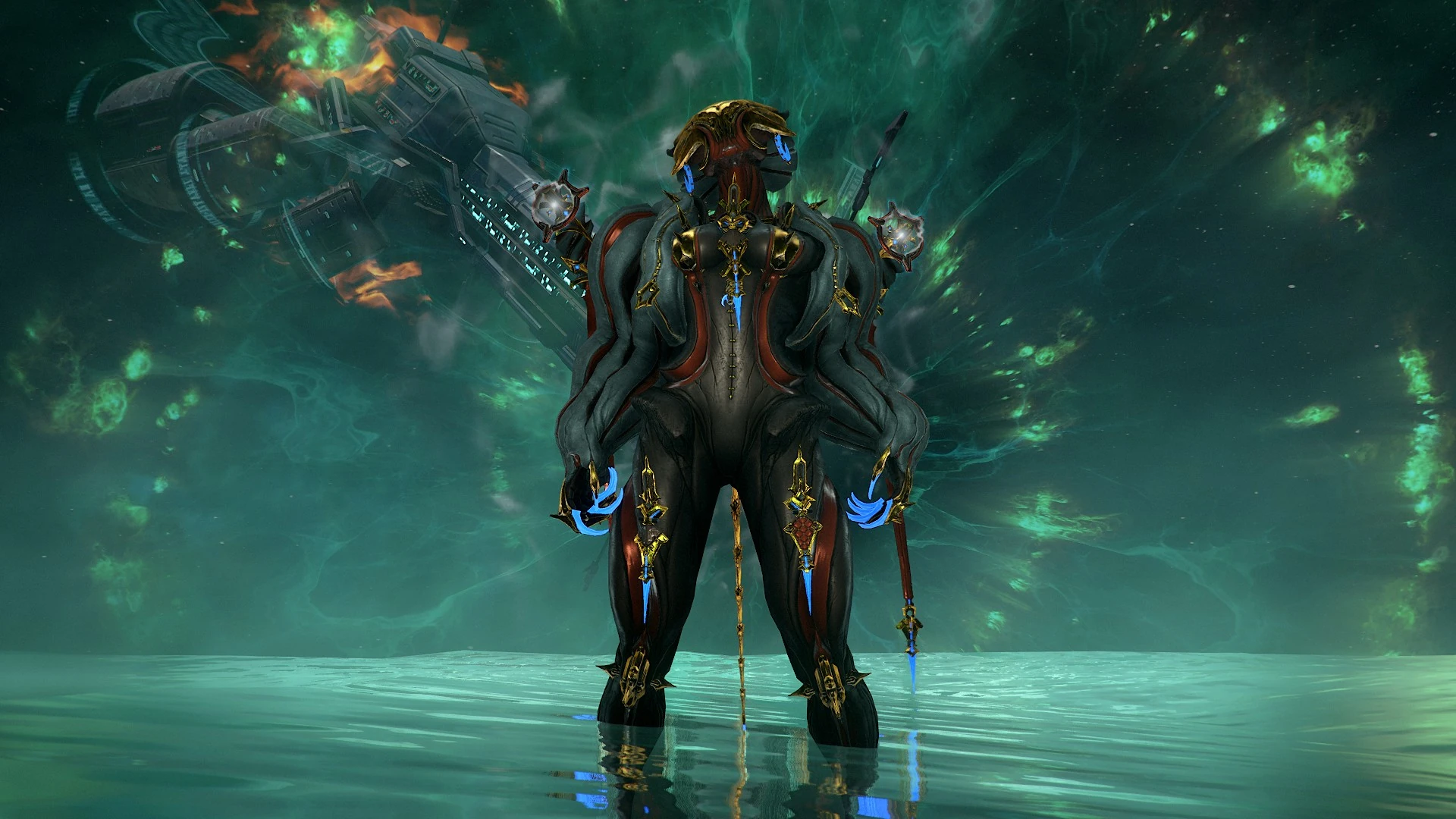 Really liking the chonker cat | Fandom